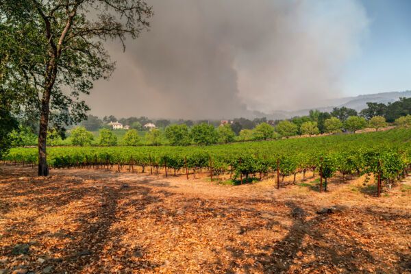 Glass Fire Claims Famous Napa Valley Wineries and Hotels
