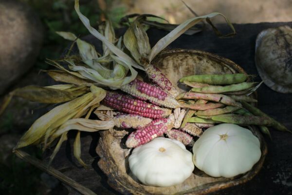How Food Can Teach Us About Indigenous Traditions and Culture