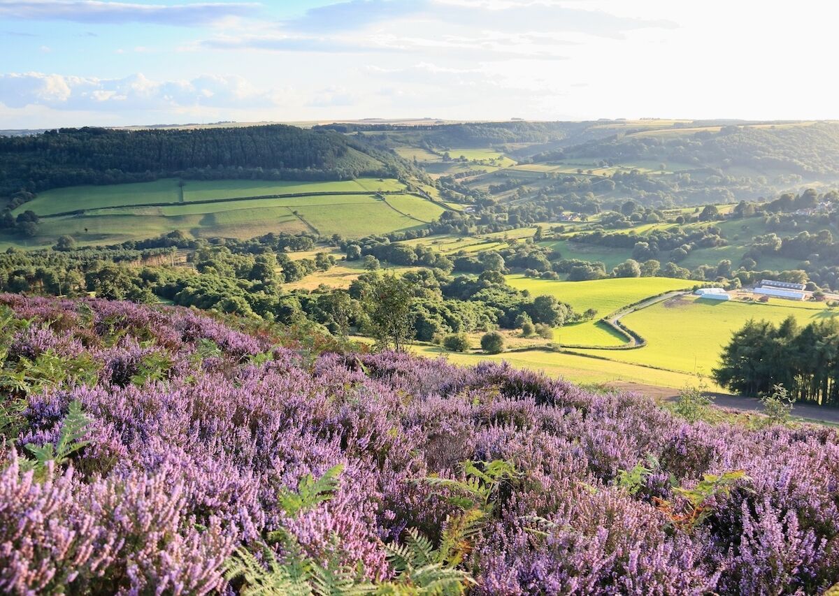England to Have New National Parks and Areas of Outstanding Natural Beauty