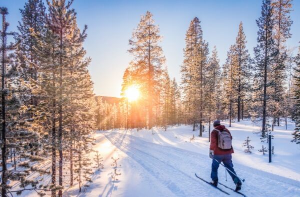 A Cross-Country Skier's Guide to Yellowstone