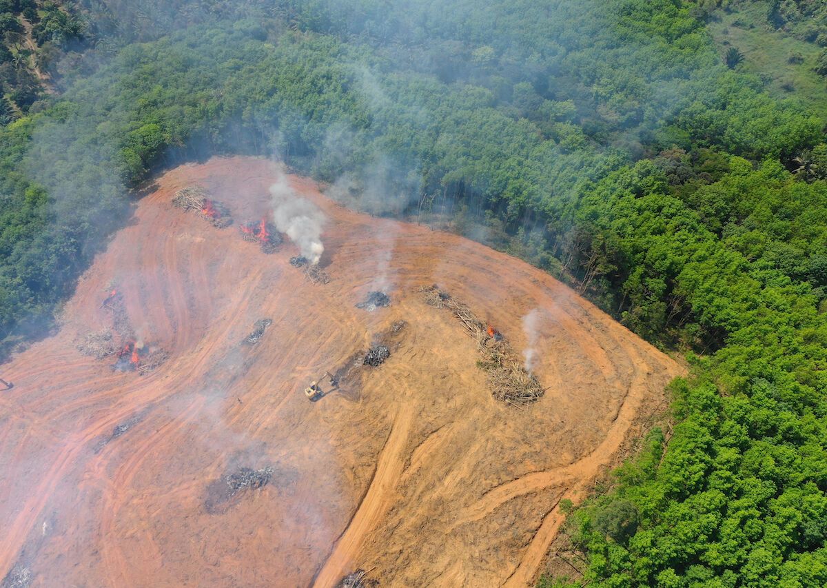 Amazon Wildfires Broke Records in 2020