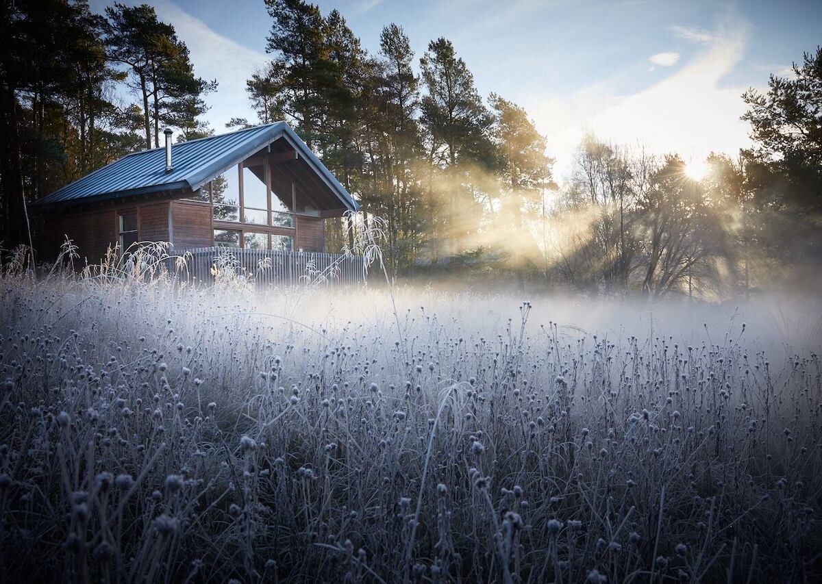 The Best Forest and Jungle Hotels and Resorts