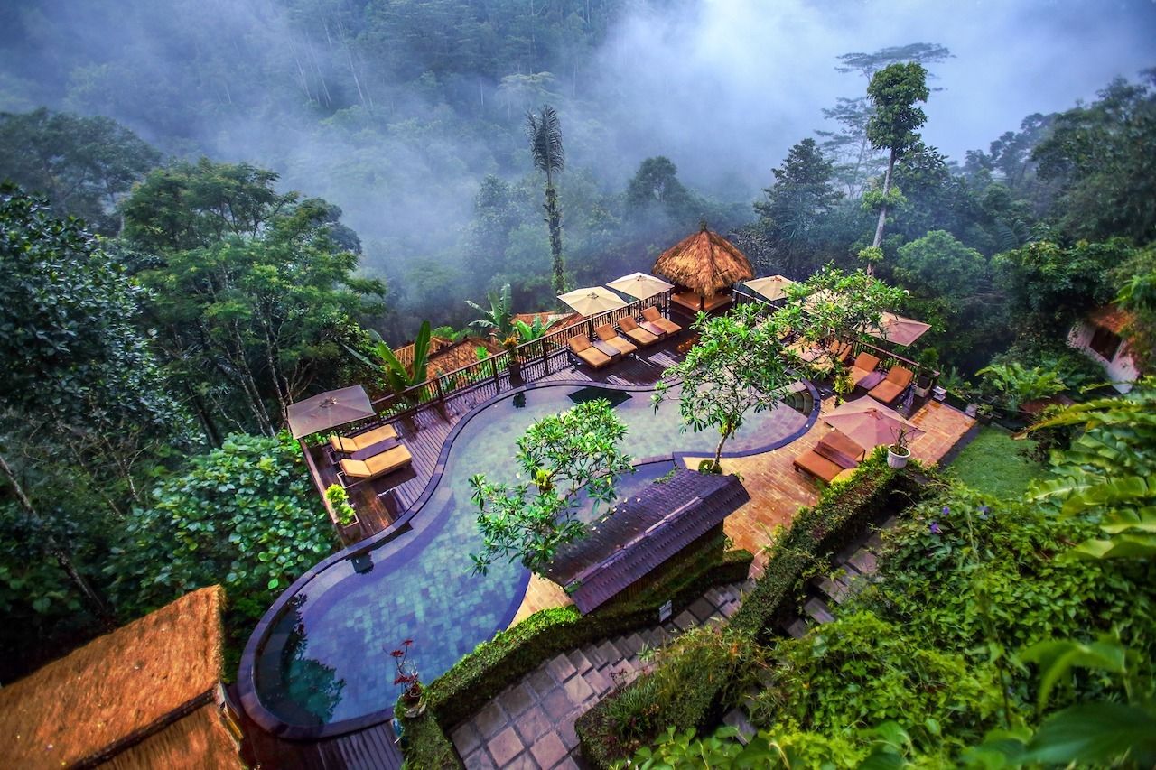 The Best Forest And Jungle Hotels And Resorts The Best Forest And Jungle Hotels And Resorts