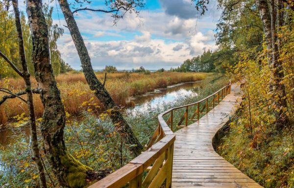 Hike Across the Baltics Via New 1,330 Miles Cross-Border Trail