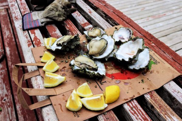 Where to Eat the Best Seafood in Washington State - Matador Network