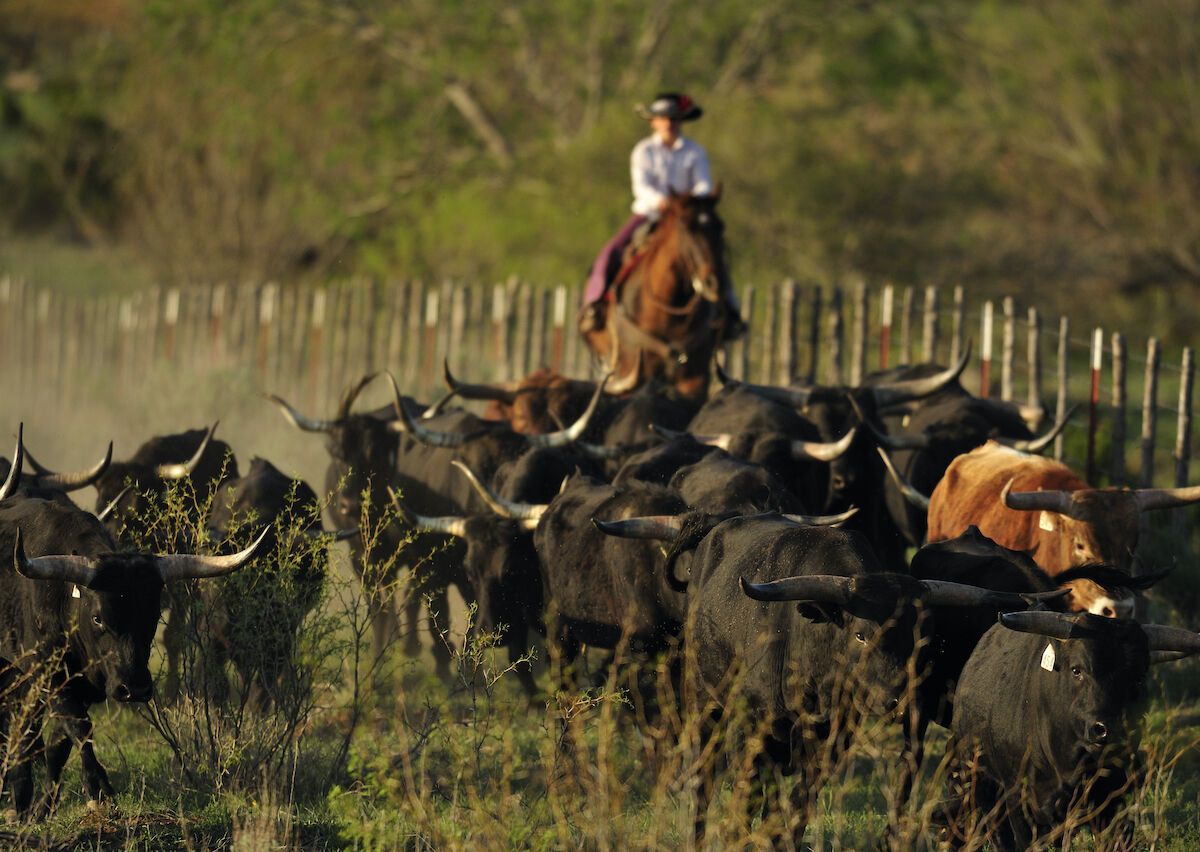 9 Superpowers You Have When You’re From Texas