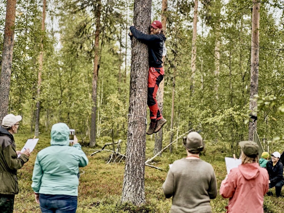 Levi, Finland, Is Home to the TreeHugging World Championship 2021