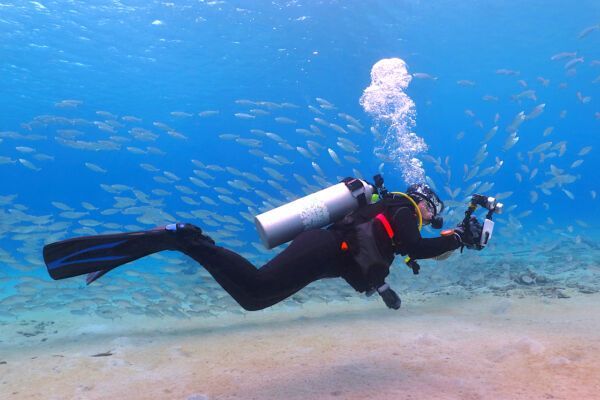 Underwater Photography: Tips to Know for the Best Photos and Videos