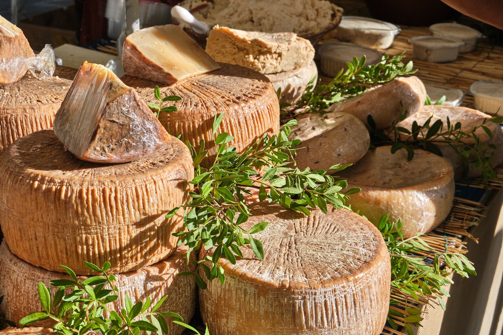 How to Find and Try Casu Marzu in Sardinia