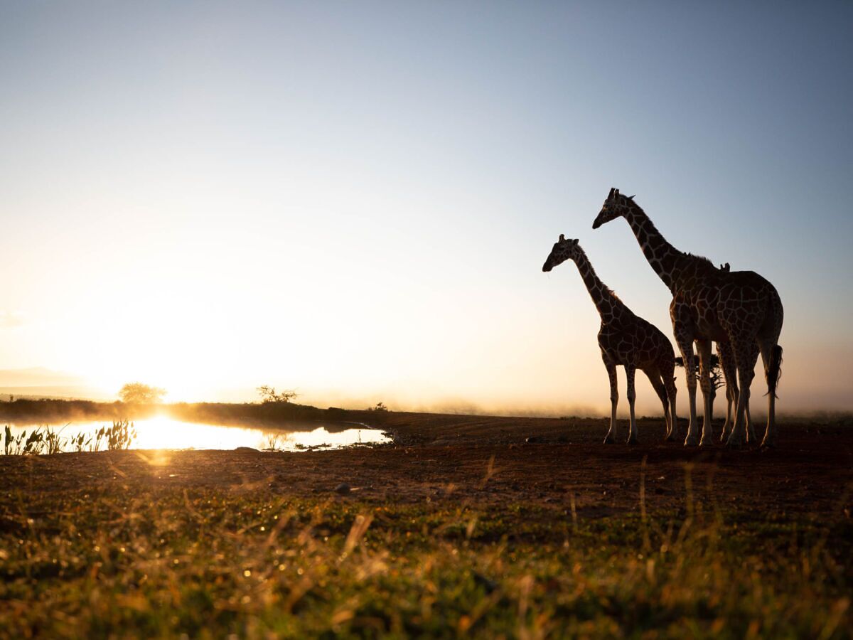 Kenya: Choose your adventure - Matador Network
