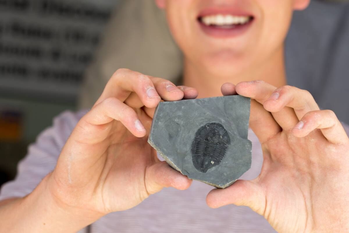 The 9 Best Places for Fossil Hunting in the United States