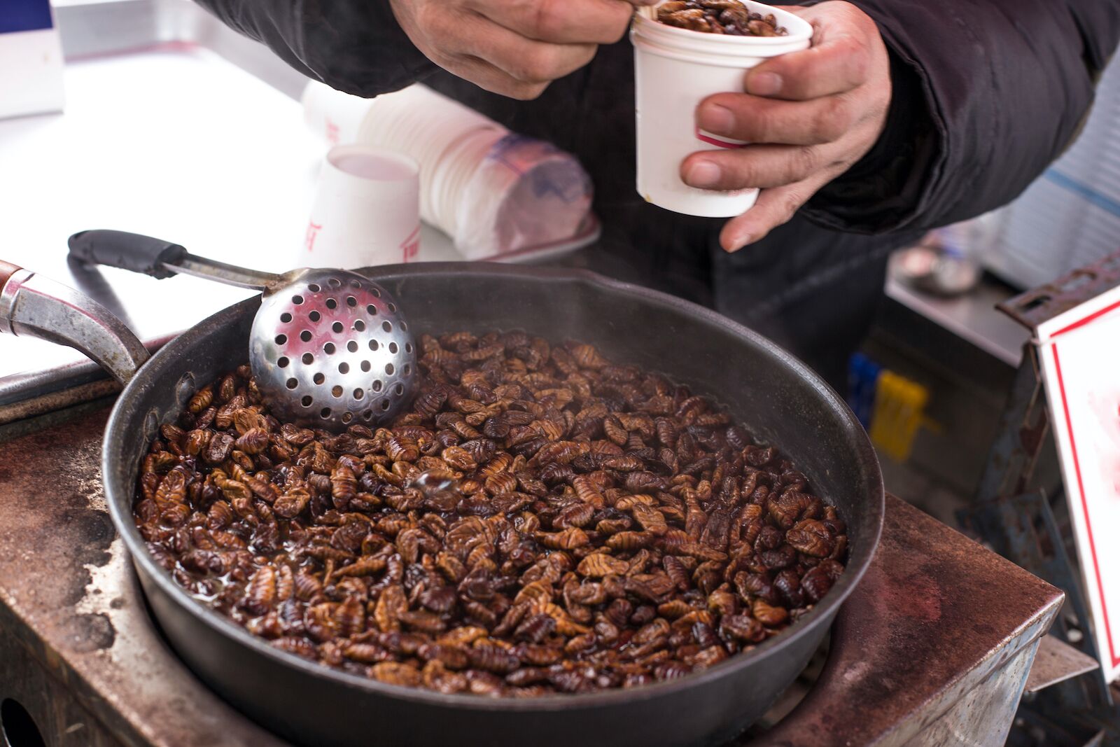 Where to Try Beondegi, or Silkworm Pupae, in South Korea