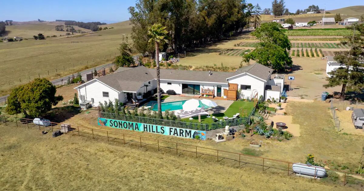 This Airbnb on a California Cannabis Farm Gives You the Full Experience