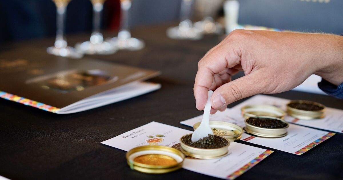 Taste of Vail Shows How Food and Wine Events Can Return to Normal