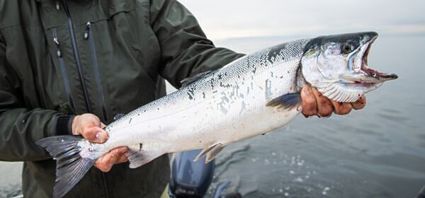 The 8 Best Rivers in Washington State for Salmon Fishing