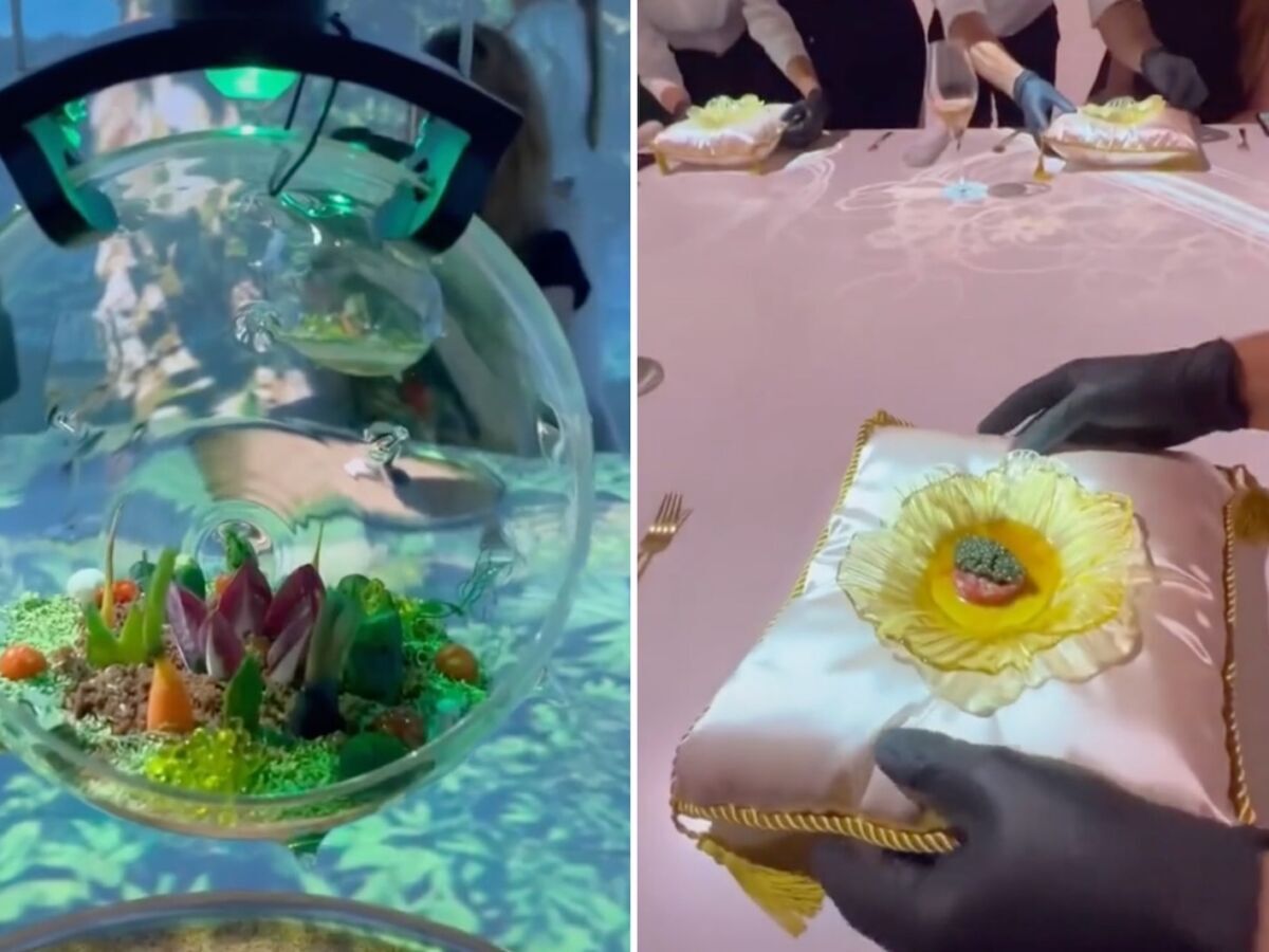 Sublimotion: Video of Eating at the Most Expensive Restaurant in the World