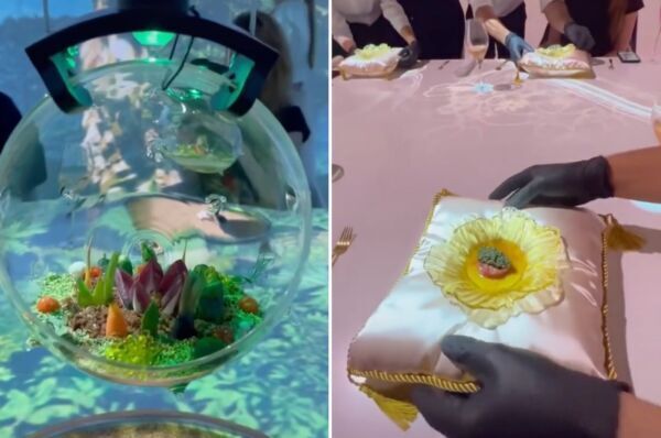 Sublimotion: Video of Eating at the Most Expensive Restaurant in the World