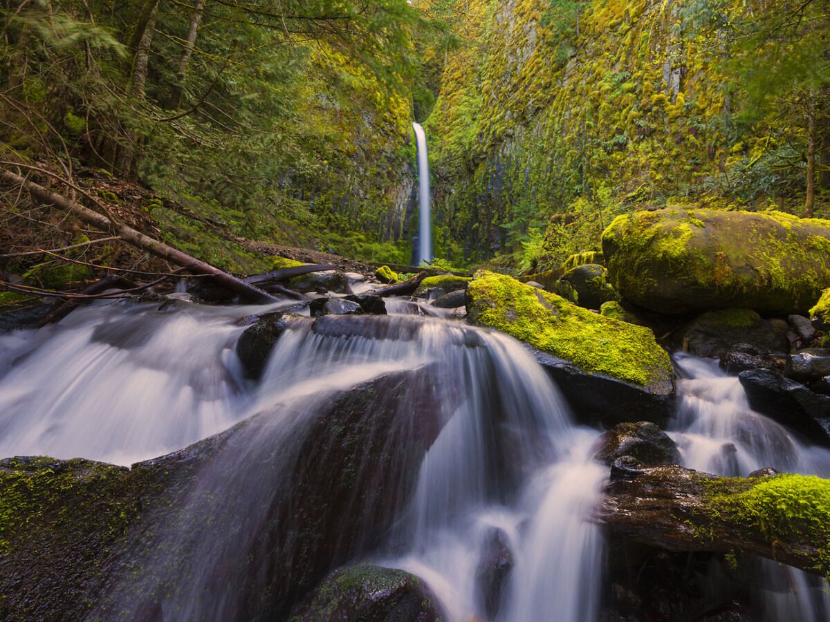 The 6 Best Portland Waterfalls to Visit Near the City