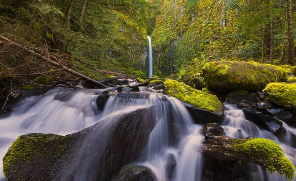 The 6 Best Portland Waterfalls to Visit Near the City