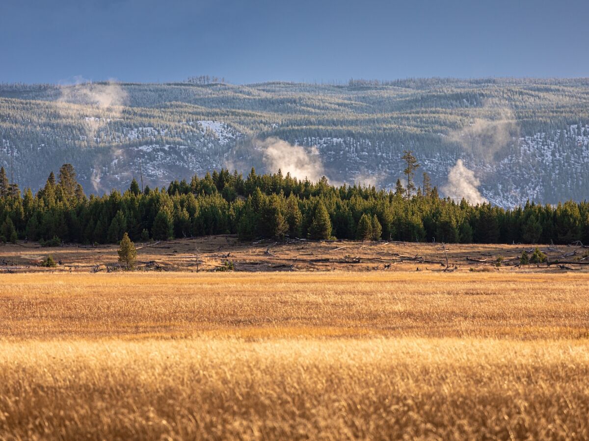 Yellowstone's Zone of Death Has a Loophole for Murder