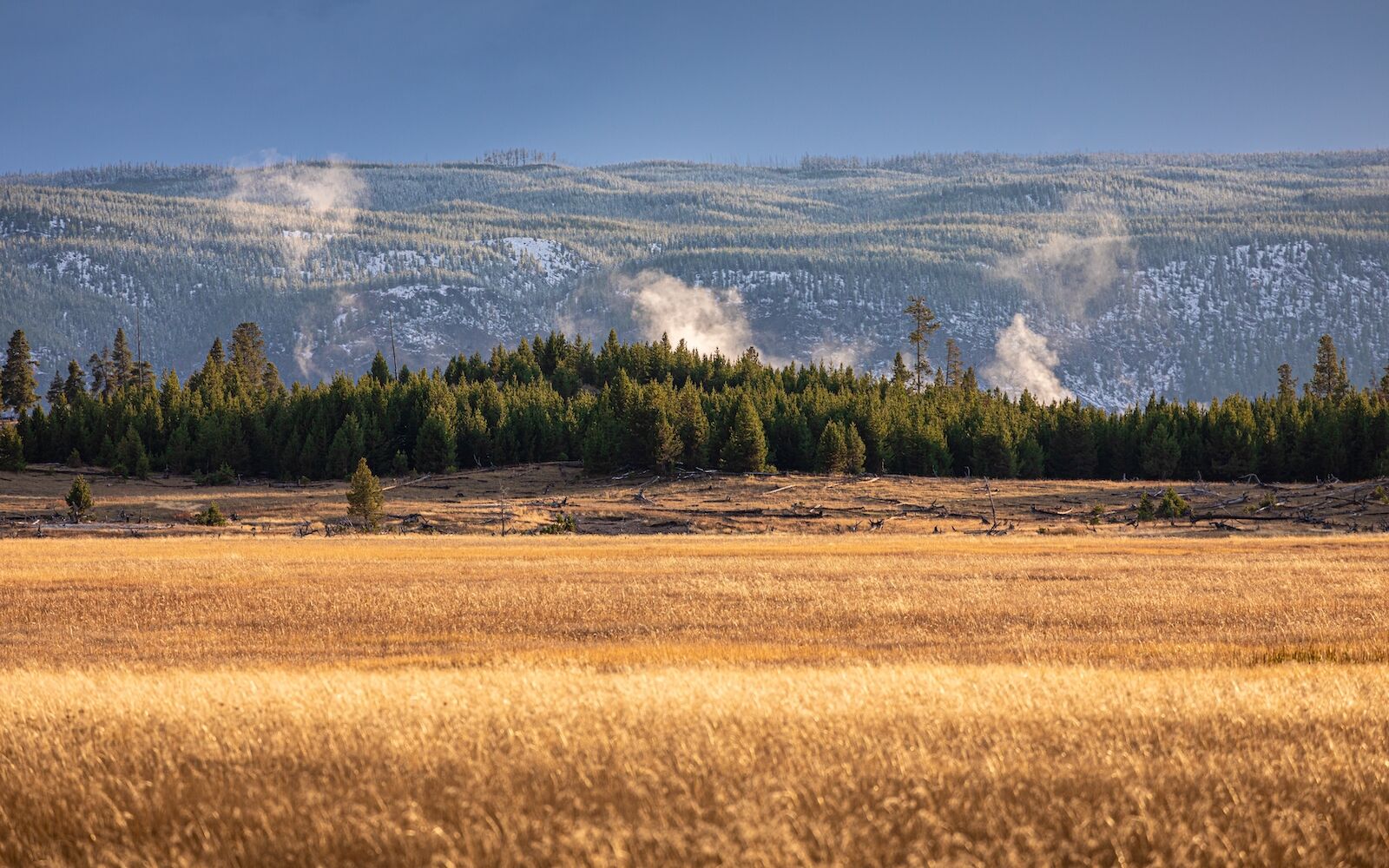 Yellowstone's Zone of Death Has a Loophole for Murder