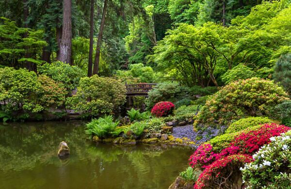 The Best Parks in Portland, Oregon, for Hiking and Views of the Water