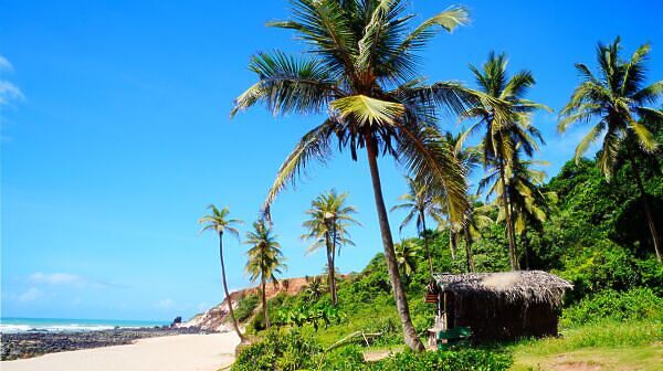 NomadX Founder to Launch a Digital Nomad Village in Brazil