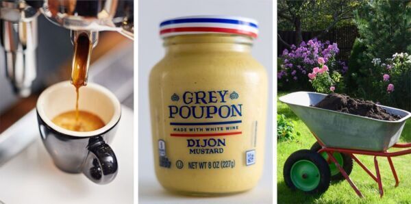 14 “Eggcorns” or Everyday Words and Sayings That Are Used Improperly