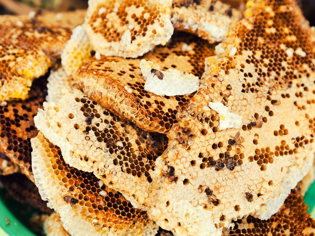 What It s Like To Take Mad Honey And What To Know Before Doing It