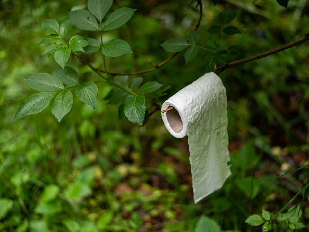 How to Poop in the Woods While Hiking, Camping, or Exploring the Outdoors