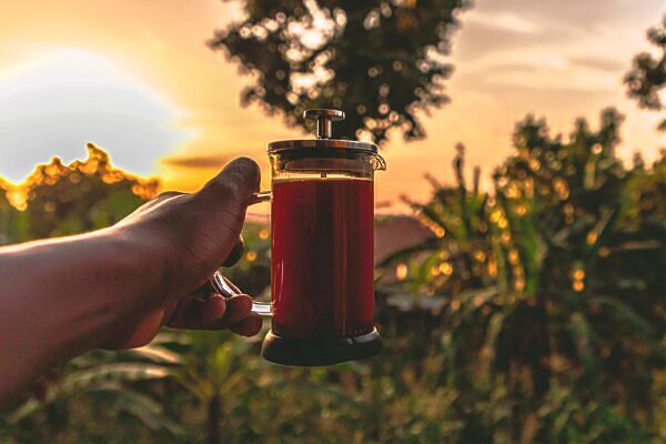 Four Kenyan Coffee and Tea Farm Tours to Take in East Africa