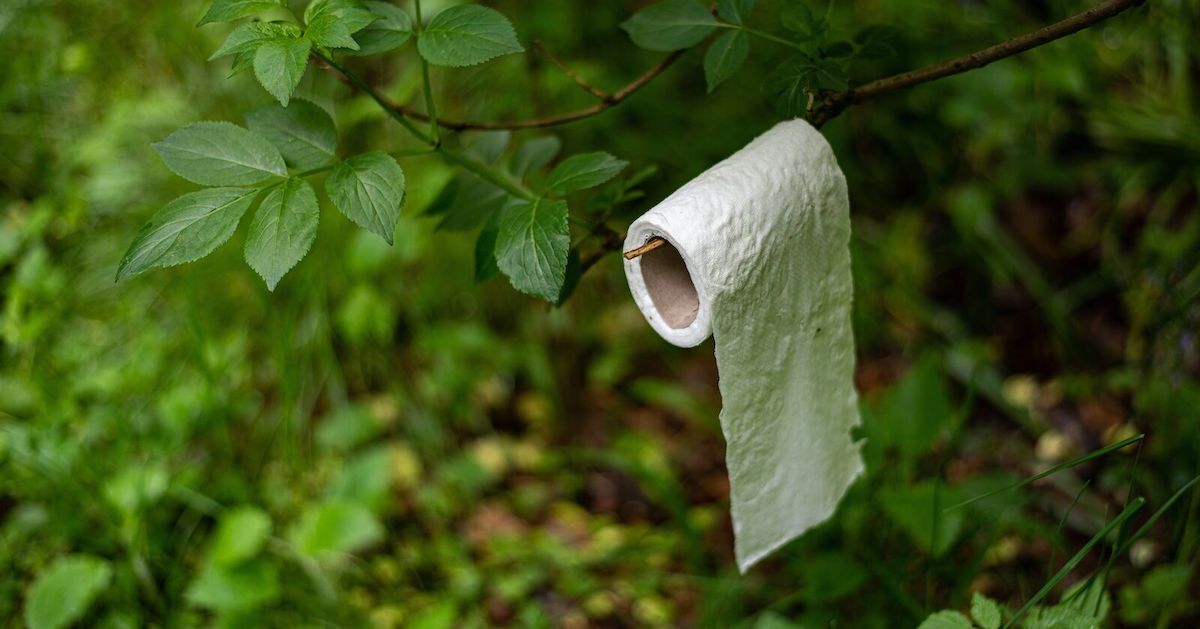 How to Poop in the Woods While Hiking, Camping, or Exploring the Outdoors