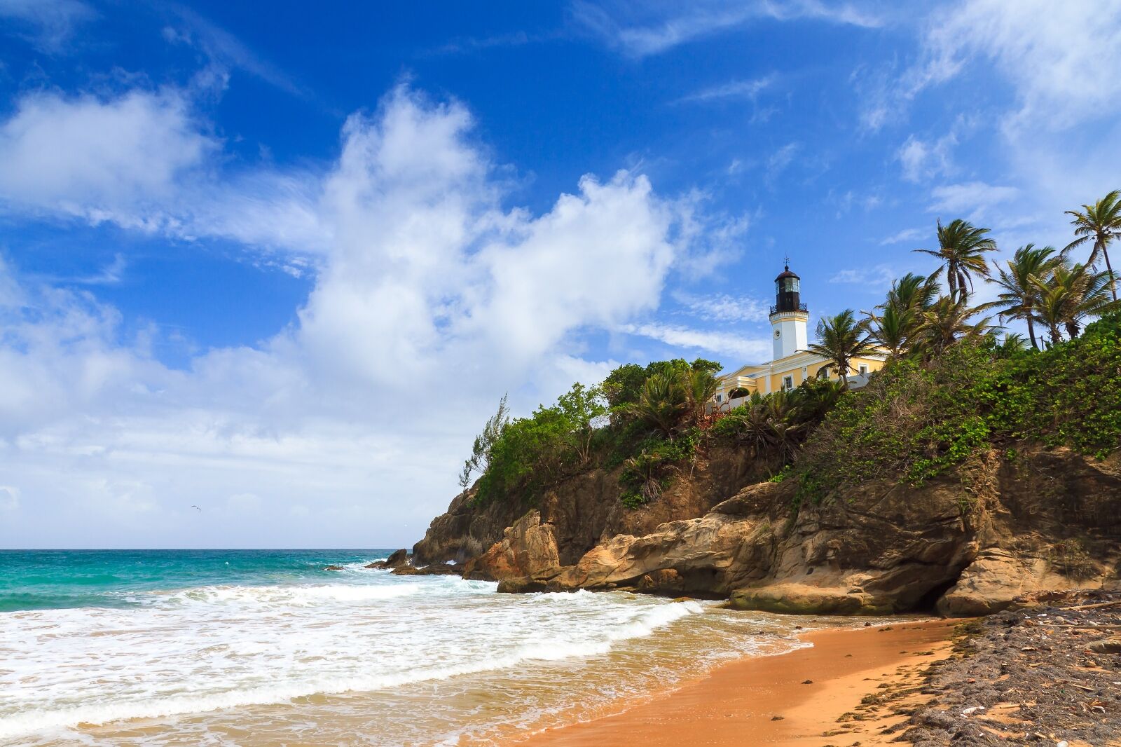 The Best Time To Visit Puerto Rico For Beach Bums Wildlife Watchers