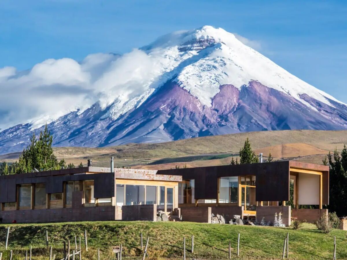 The Best Properties in Airbnb's New Top of the World Category