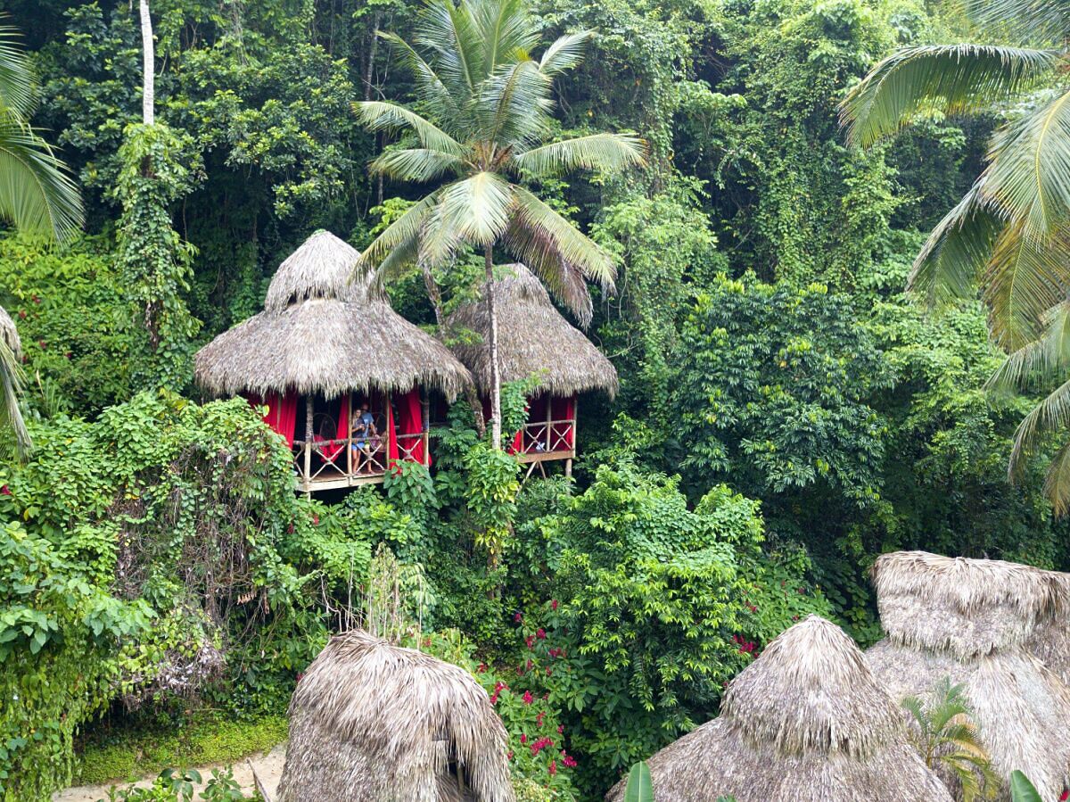 Dominican Tree House Village Is a Dreamy Hotel Above the Jungle