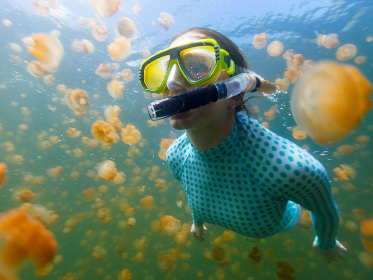 How to Swim With the Jellyfish in Palau