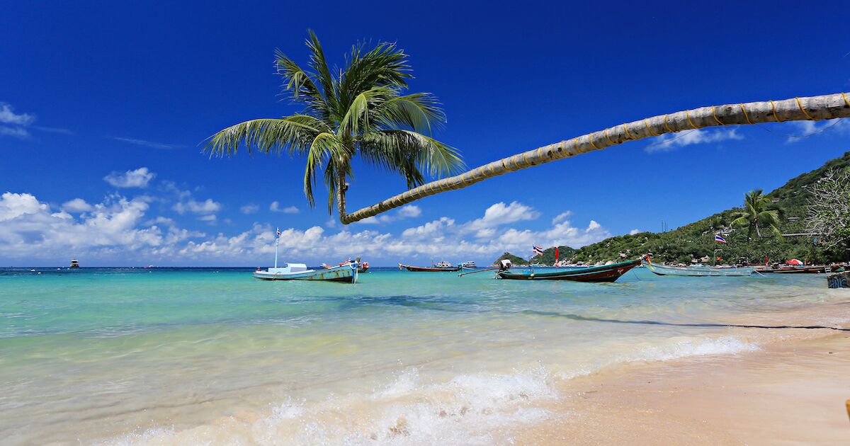 The Best Things to Do on Thailand's Koh Tao Islands