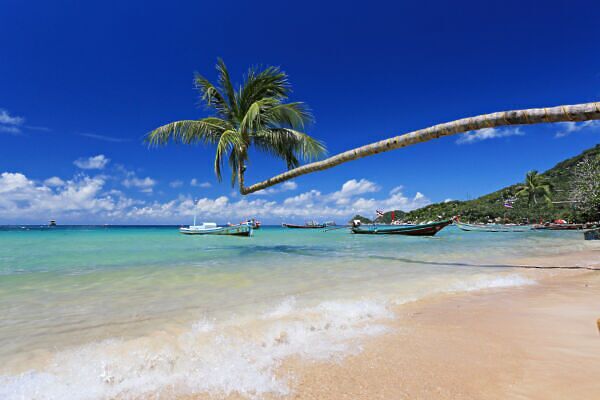 The Best Things to Do on Thailand's Koh Tao Islands