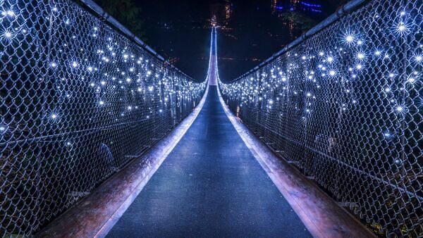 Capilano Suspension Bridge Lights: the Forest Glows for Three Months