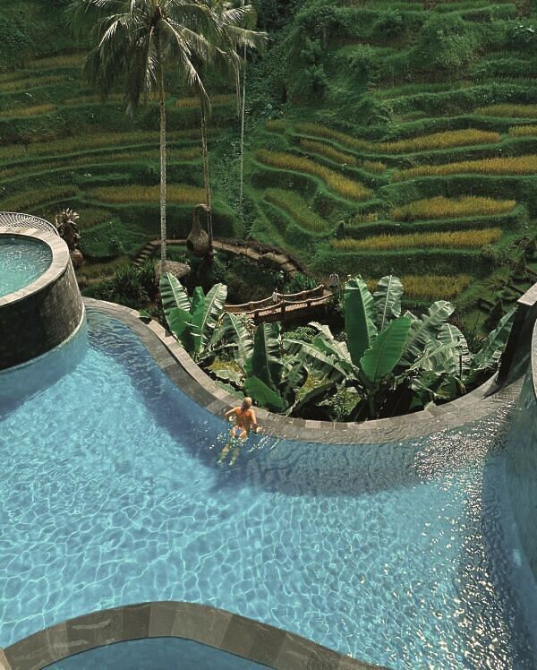 Experience the Best of Bali at Cretya Ubud Restaurant and Dayclub