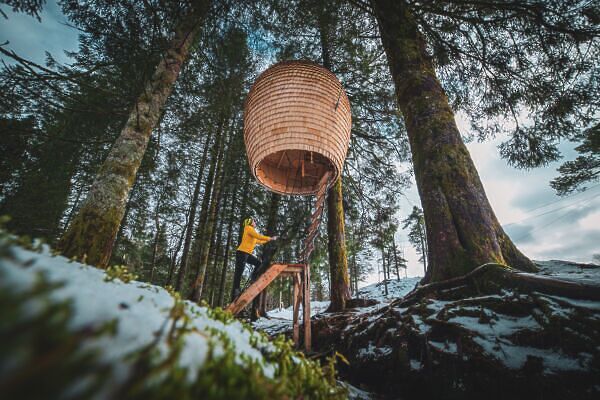 This Pine Cone Treehouse in Norway Is Available for Rent