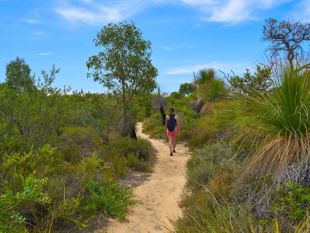 Parks in Perth: the 7 Best Natural Sites in the Hip Australian City