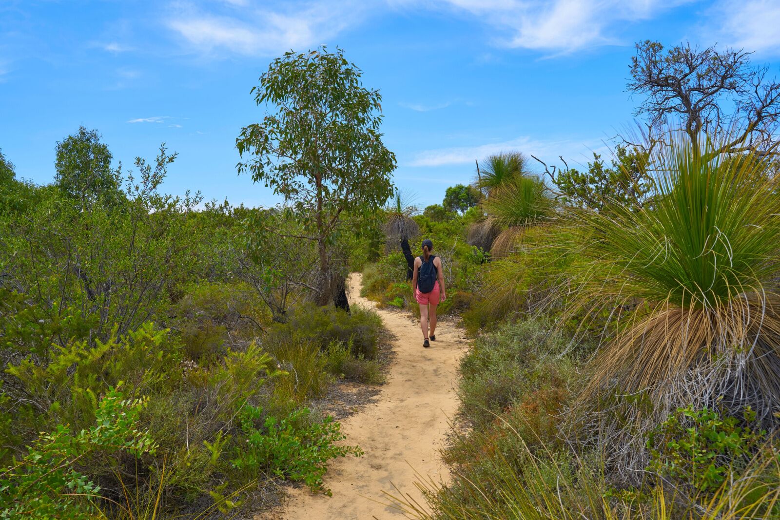 Parks in Perth: the 7 Best Natural Sites in the Hip Australian City