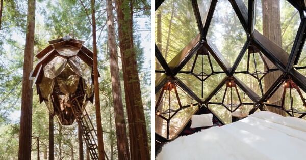 Inside the Pinecone Treehouse Airbnb Near Santa Cruz, CA