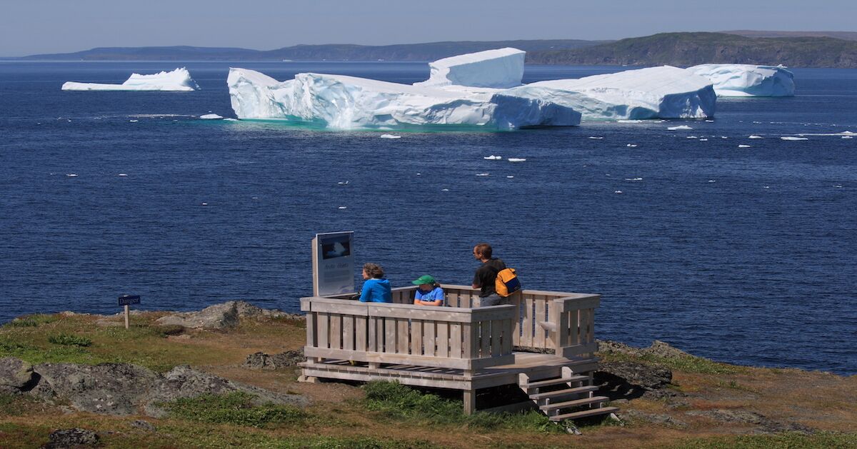How to See Iceberg Alley in Newfoundland