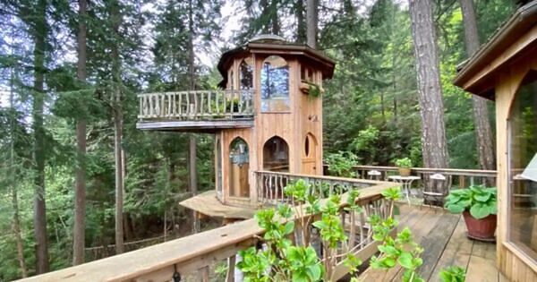 This Orcas Island Treehouse Airbnb Offers the Best of Washington State