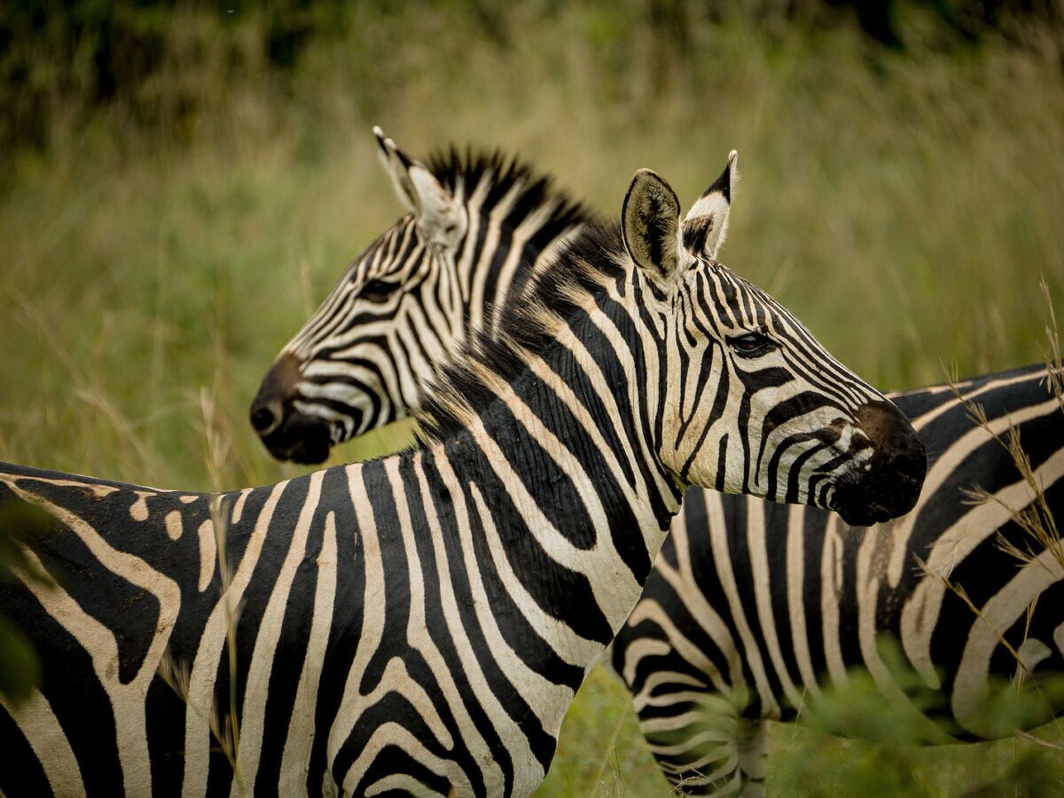 The Sony a7 IV is the best DSLR camera for stress-free travel pics