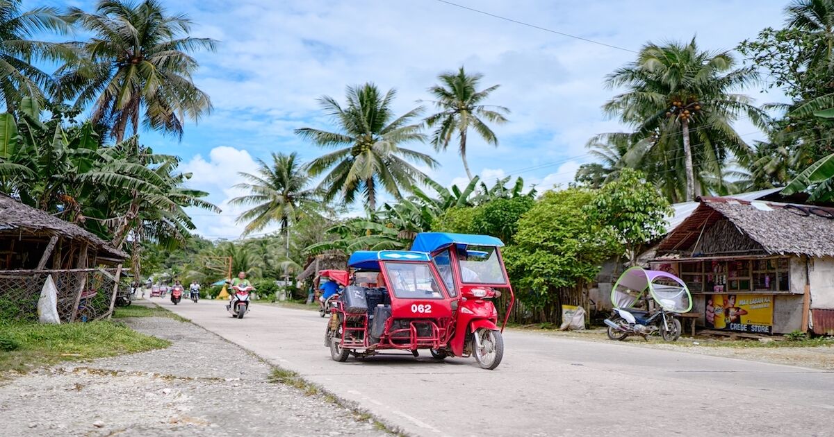 Coconut Road Is the Philippines' Most Scenic Highway