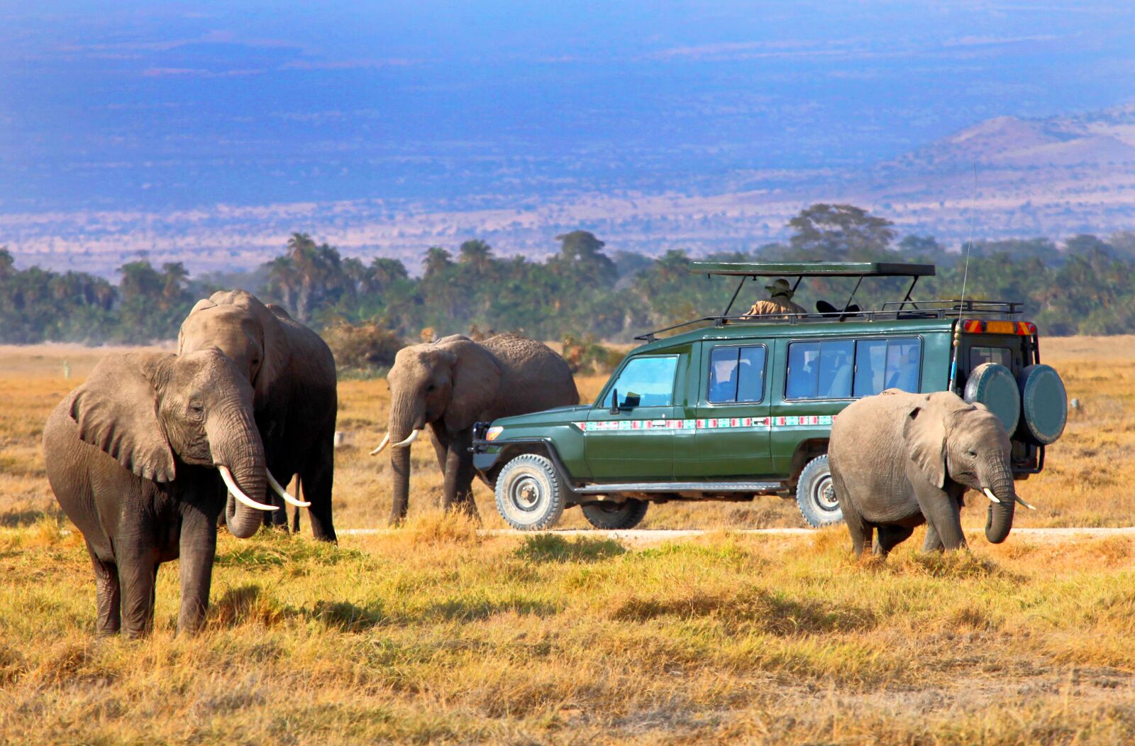 Masai Mara Masai Mara