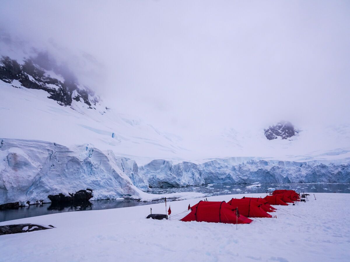 Camping in Antarctica: What to Know About the Bucket-List Trip